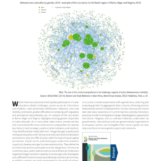 Gender disparities in trade networks – Mapping Africa Transformations
